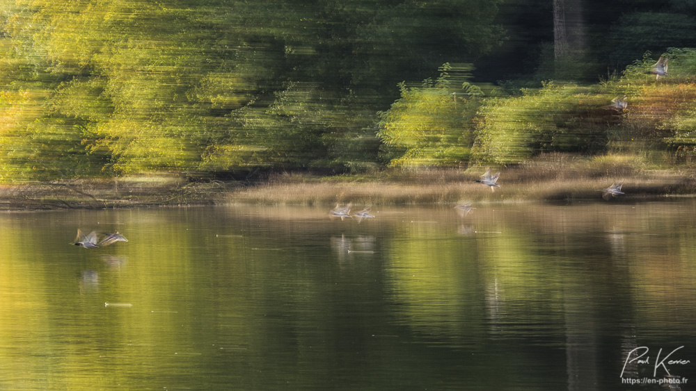 Odet rural, urbain, maritime